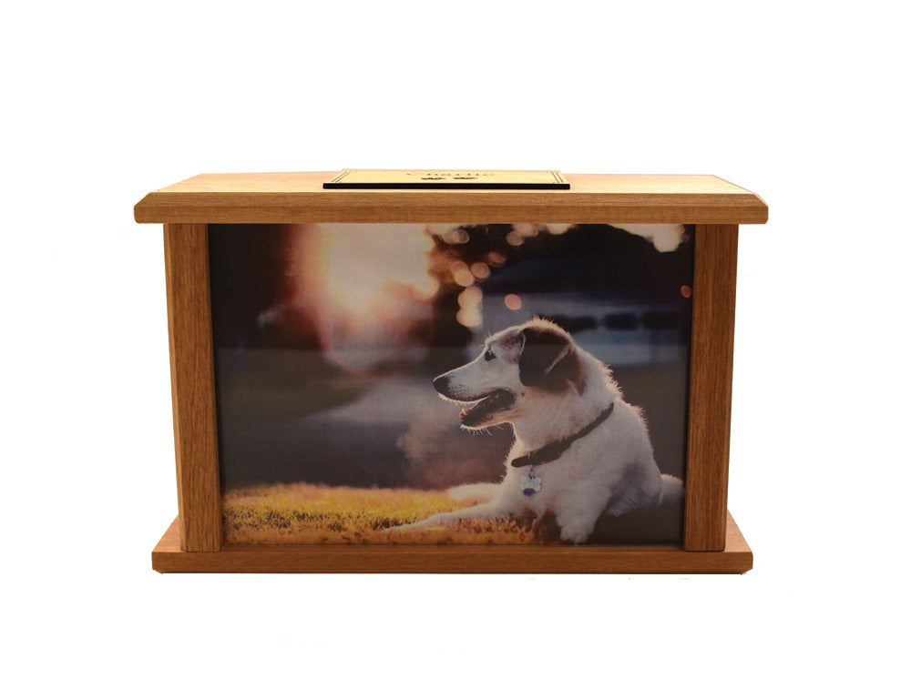 Photo – Pets @ Rest