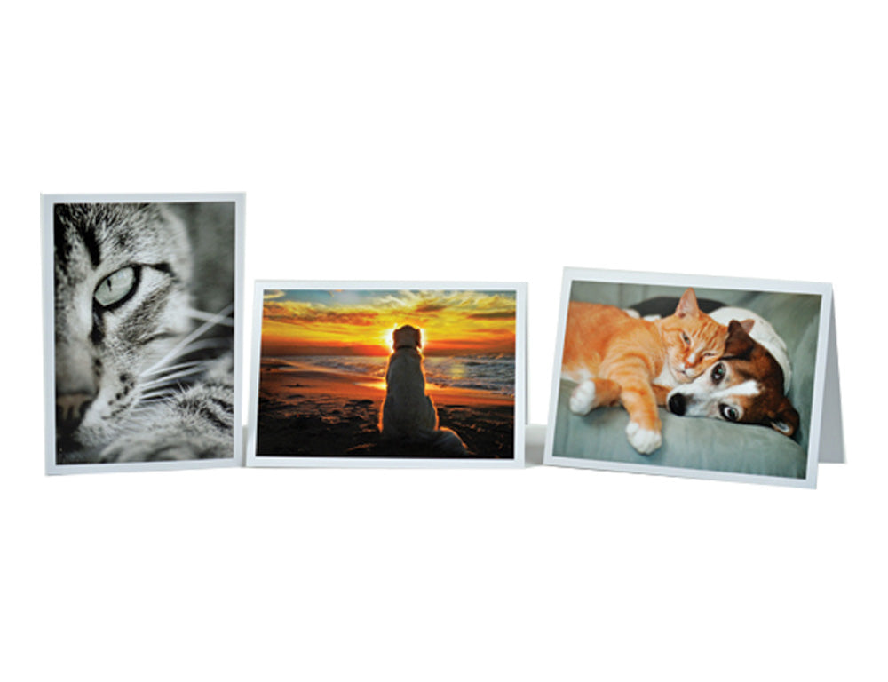 Sympathy Cards – Pets @ Rest